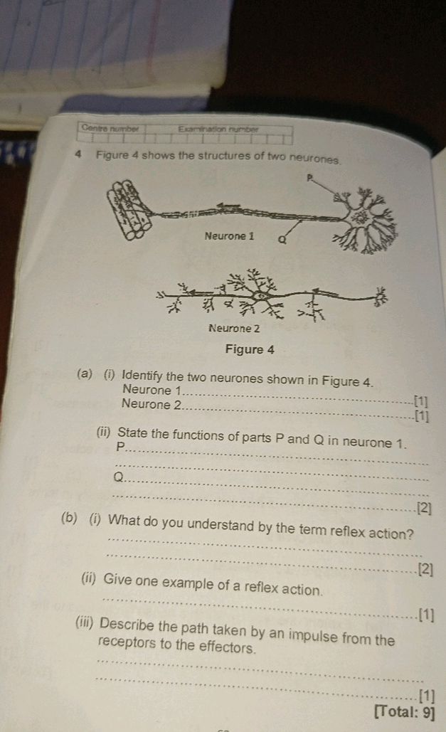 Figure 4 shows the structures of two | StudyX