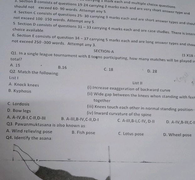 3 Section B consists of questions 19-24 | StudyX