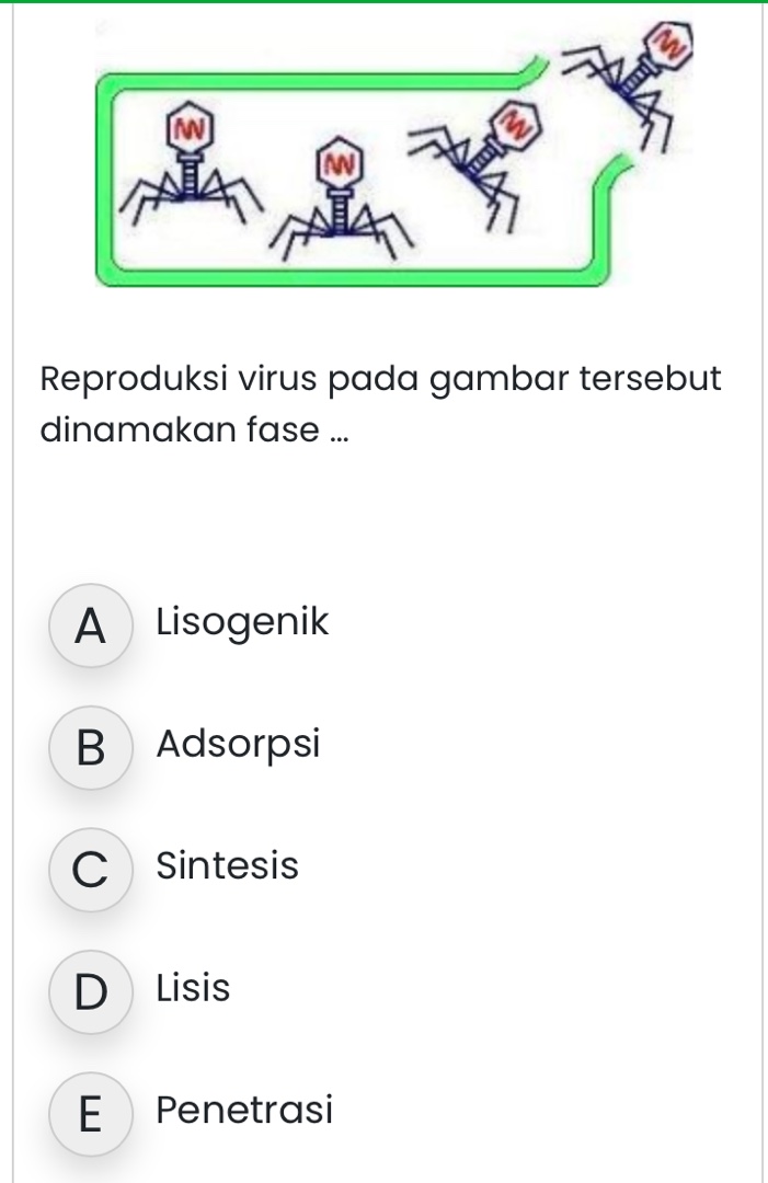 Reproduksi virus pada gambar tersebut | StudyX
