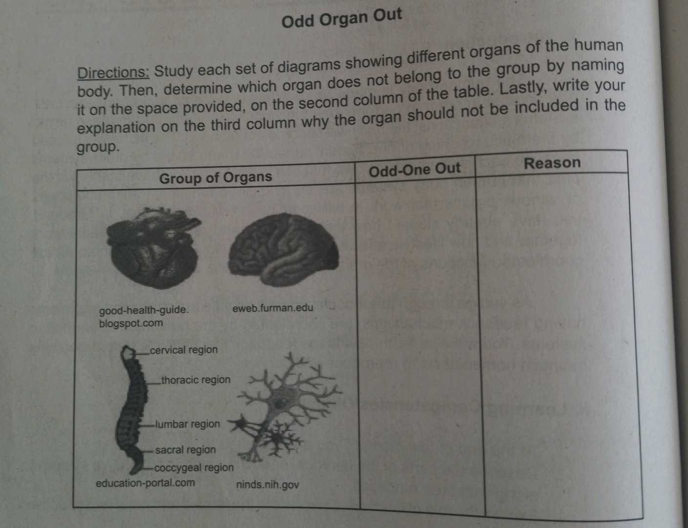 Odd Organ Out Directions Study each set of | StudyX