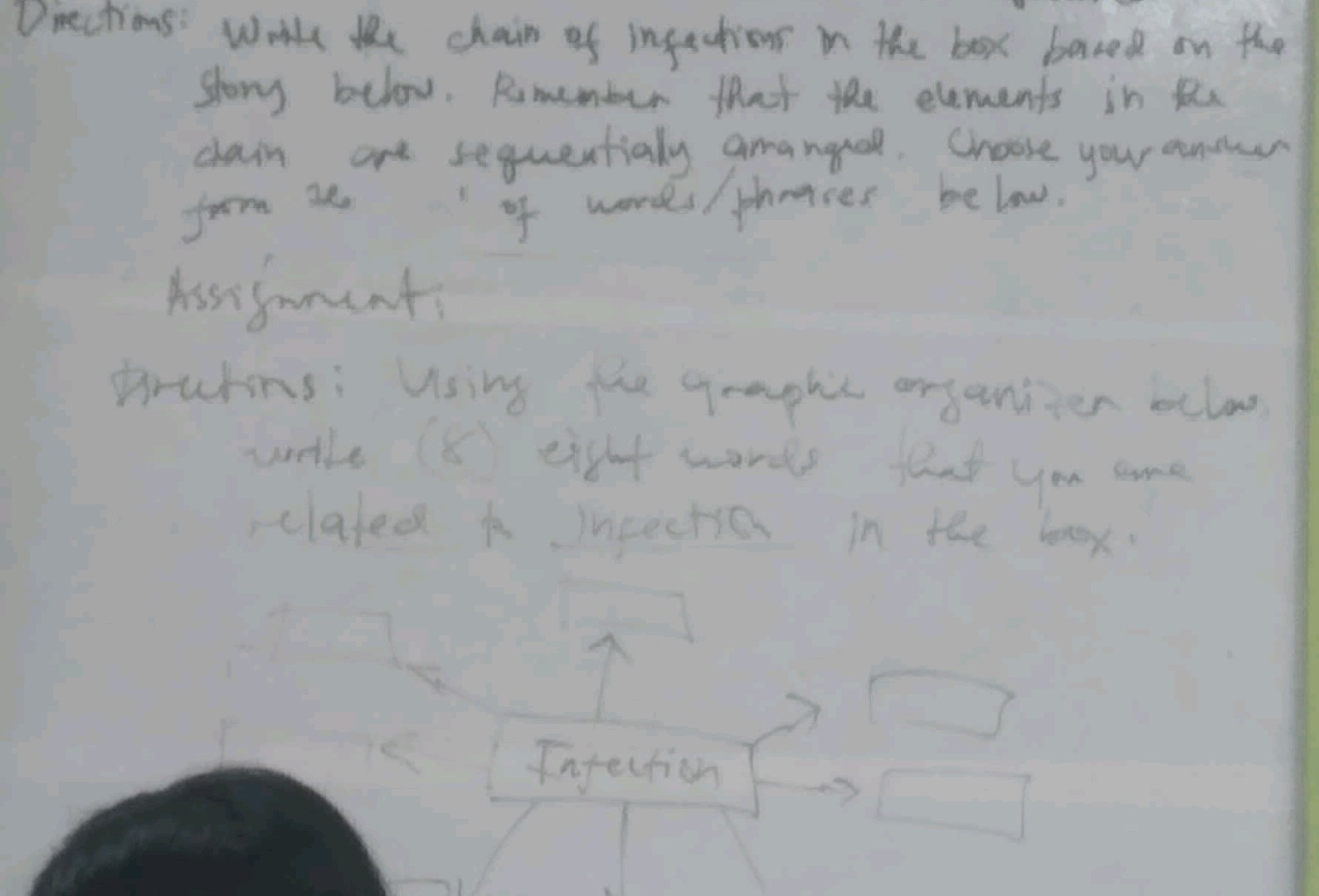 Directions Write the chain of infections in | StudyX