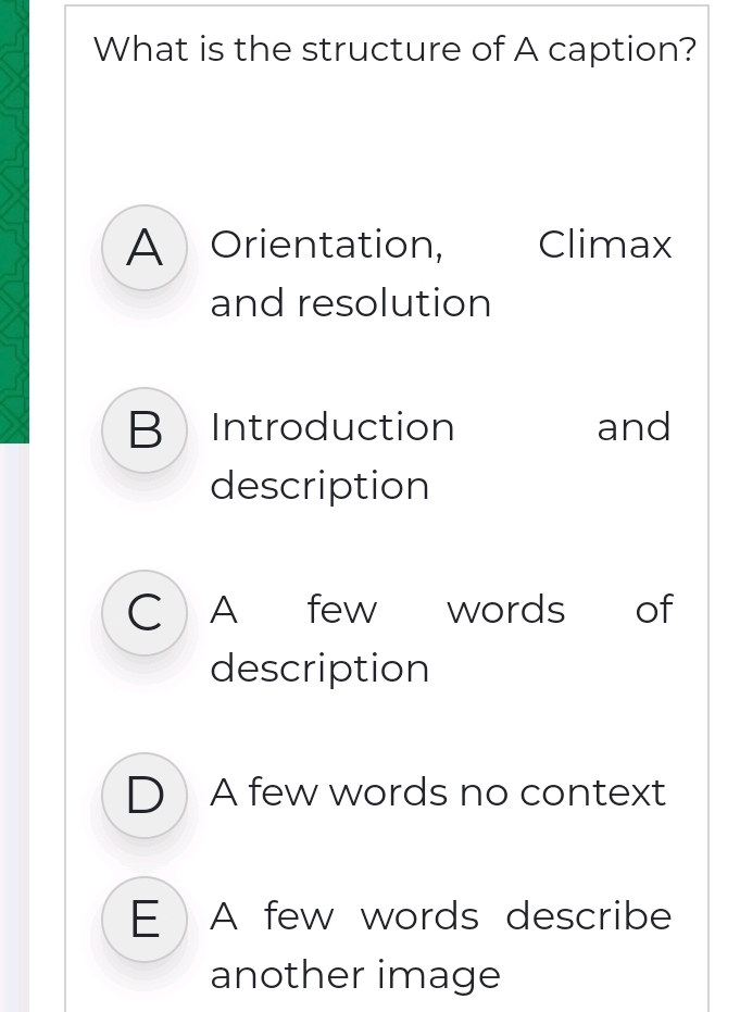 What is the structure of A caption A | StudyX