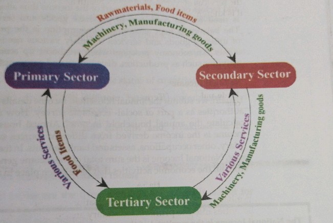 The image contains a diagram showing the | StudyX