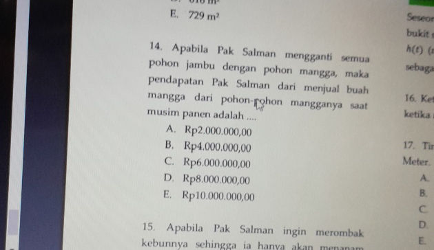 14 Apabila Pak Salman mengganti semua pohon | StudyX