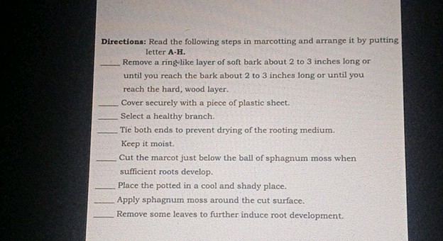 Directions Read the following steps in | StudyX