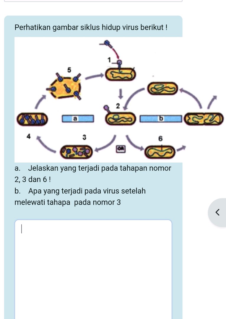 Perhatikan gambar siklus hidup virus berikut | StudyX