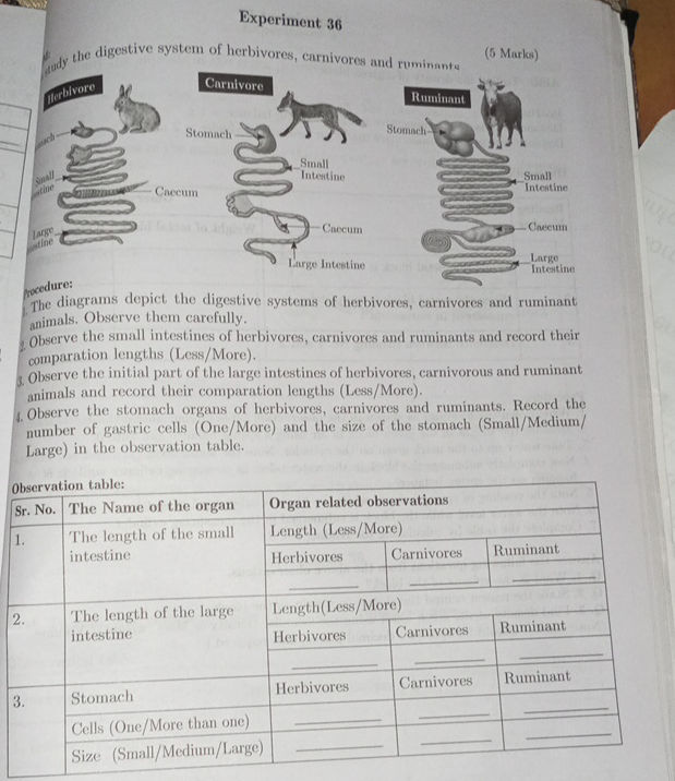Experiment 36 (5 Marks) Study the digestive | StudyX