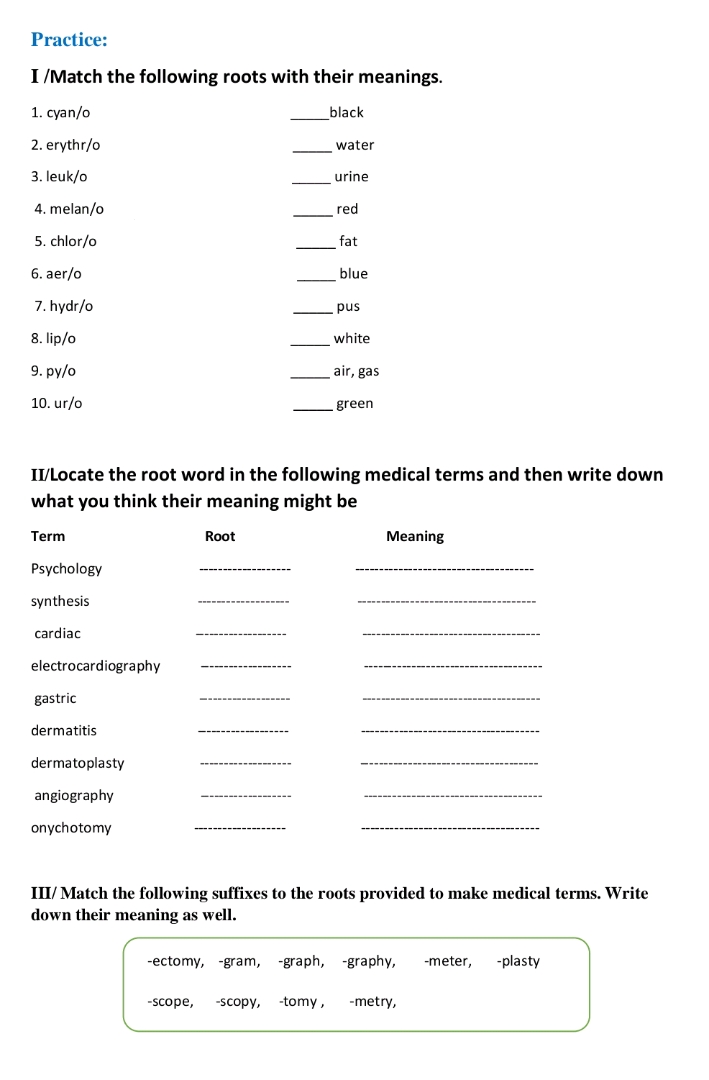 Practice I/Match the following roots with | StudyX