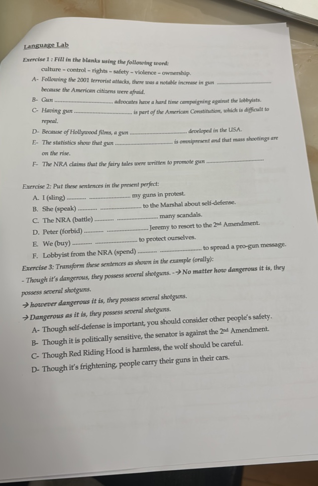 Language Lab Exercise 1 Fill in the blanks | StudyX