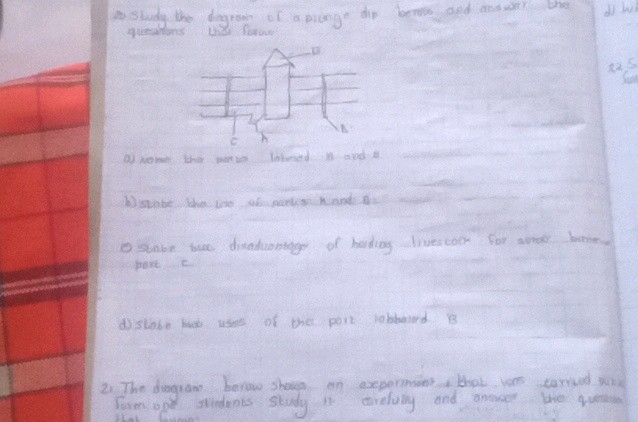 Study the diagram of a plunge dip below and | StudyX