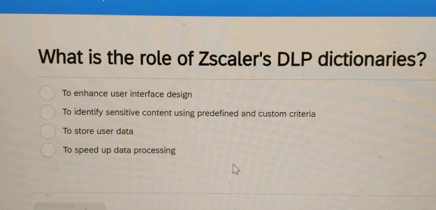 What is the role of Zscalers DLP | StudyX