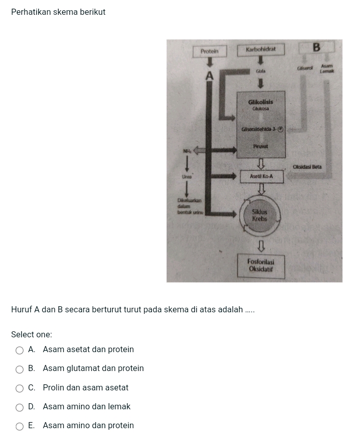 Perhatikan skema berikut image(imagepng) | StudyX