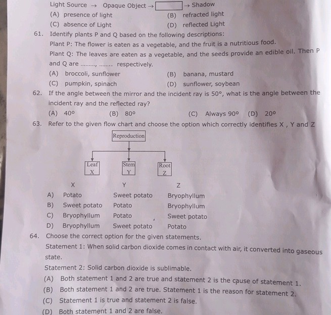 Light Source Opaque Object Shadow (A) | StudyX