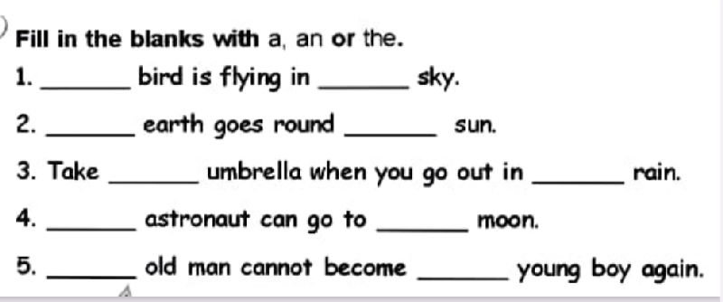 Fill in the blanks with a an or the 1 bird | StudyX