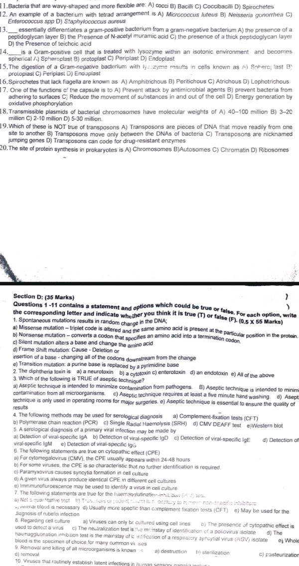 11Bacteria that are wavy-shaped and more | StudyX