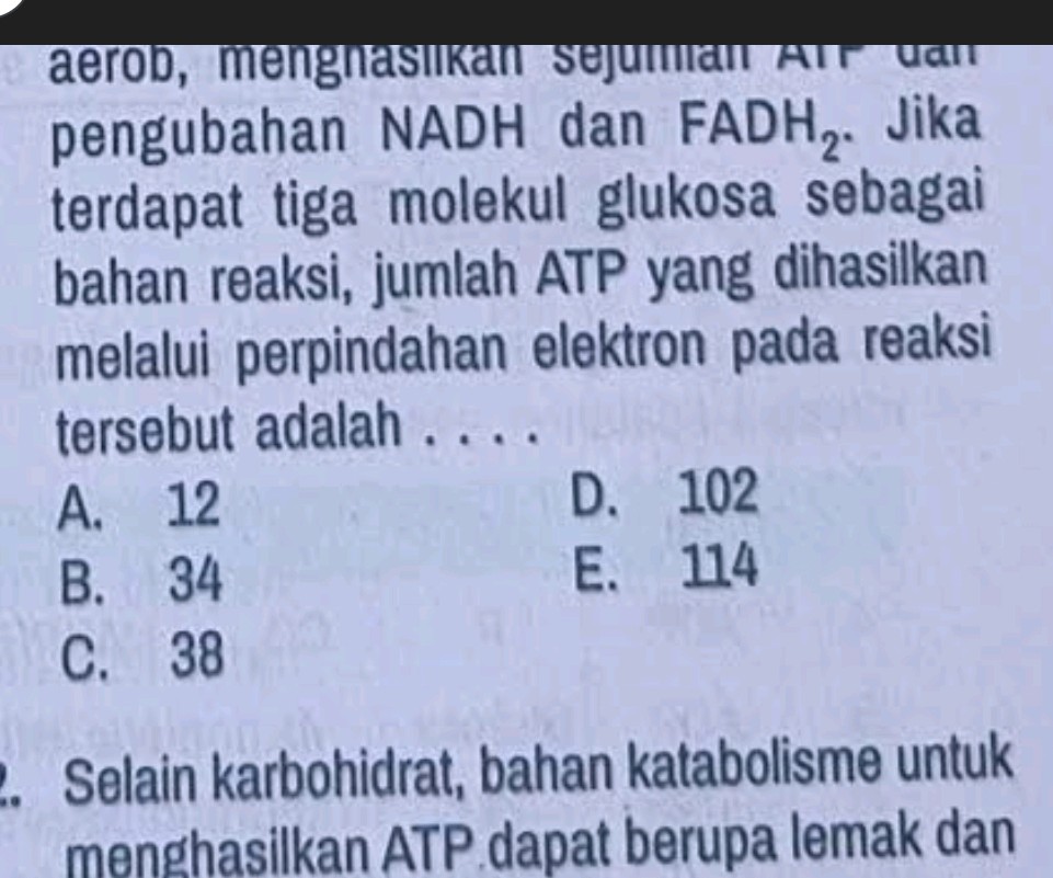 aerob menghasilkan sejumlah ATP dan | StudyX