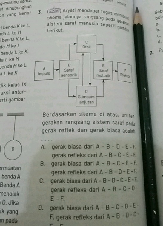 Berdasarkan skema di atas urutan gerakan | StudyX