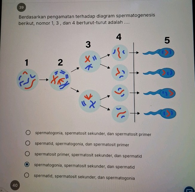 Berdasarkan pengamatan terhadap diagram | StudyX