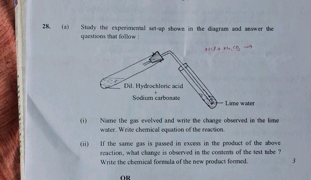 28 (a) Study the experimental set-up shown | StudyX