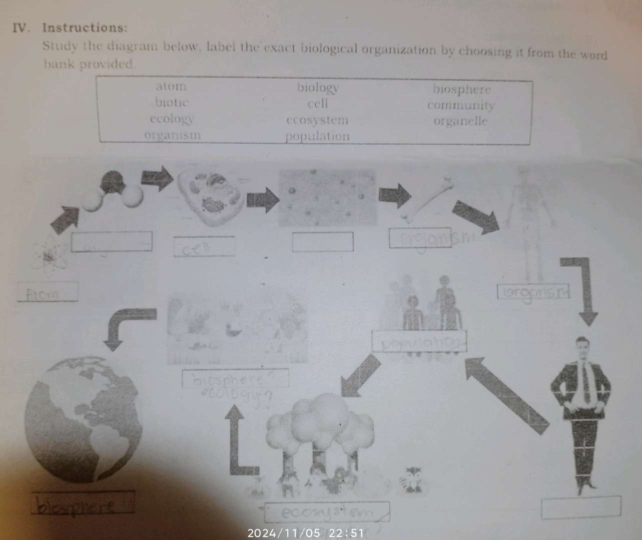 IV Instructions Study the daga am below | StudyX