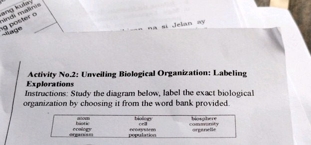 Activity No2 Unveiling Biological | StudyX