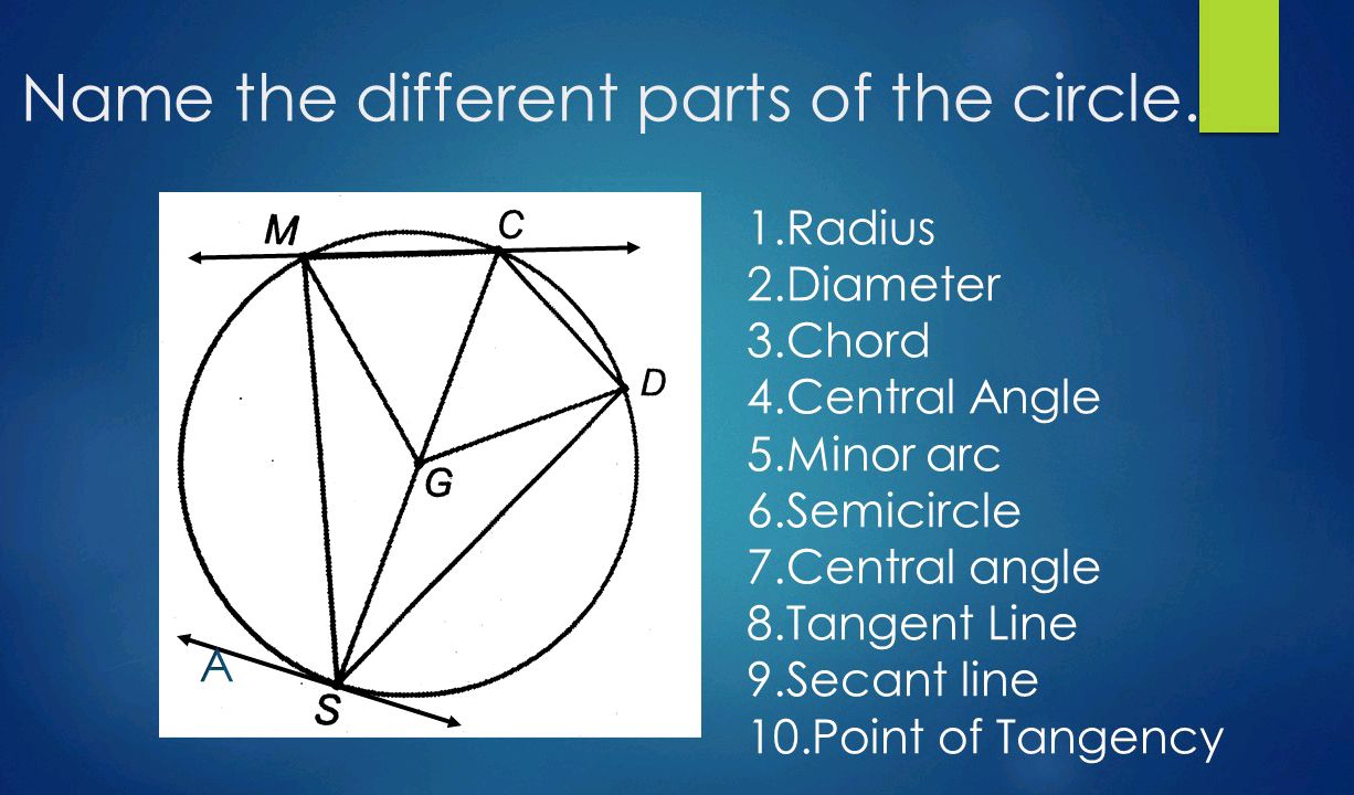 Name the different parts of the circle Image | StudyX