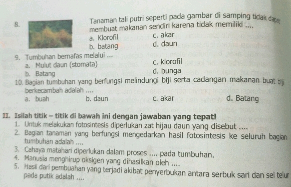 8 Tanaman tali putri seperti pada gambar di | StudyX