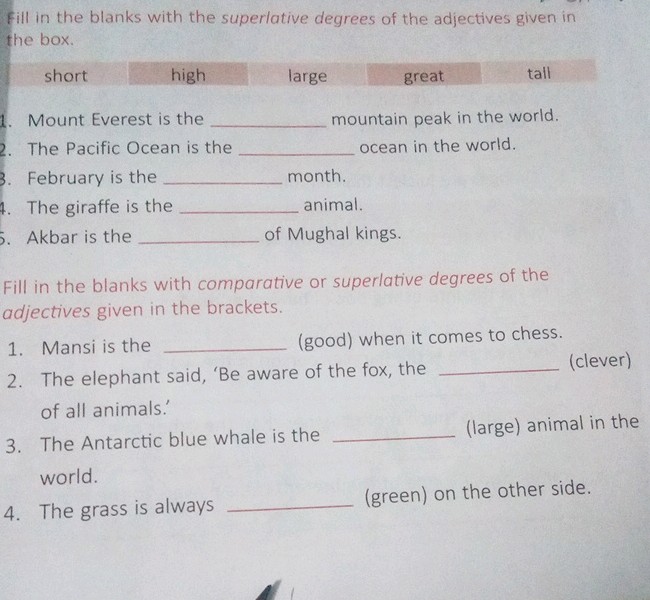 Fill in the blanks with the superlative | StudyX