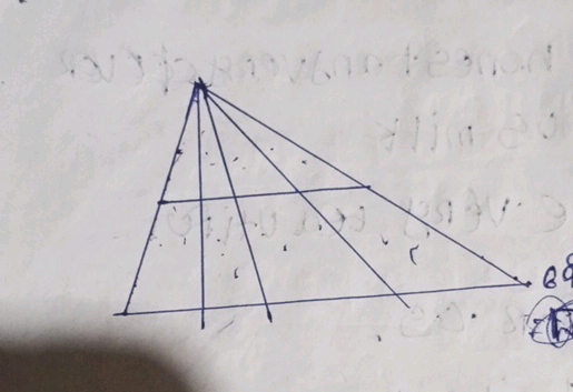 The image contains a triangle with several | StudyX