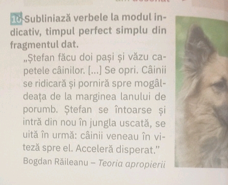 Subliniaz verbele la modul indicativ timpul | StudyX