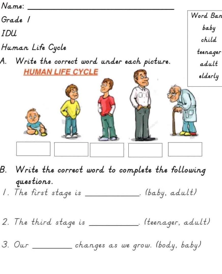 Name Grade I IDU Human Life Cycle A Write | StudyX