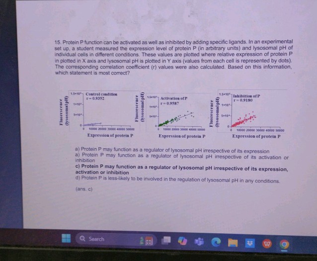15 Protein P function can be activated as | StudyX