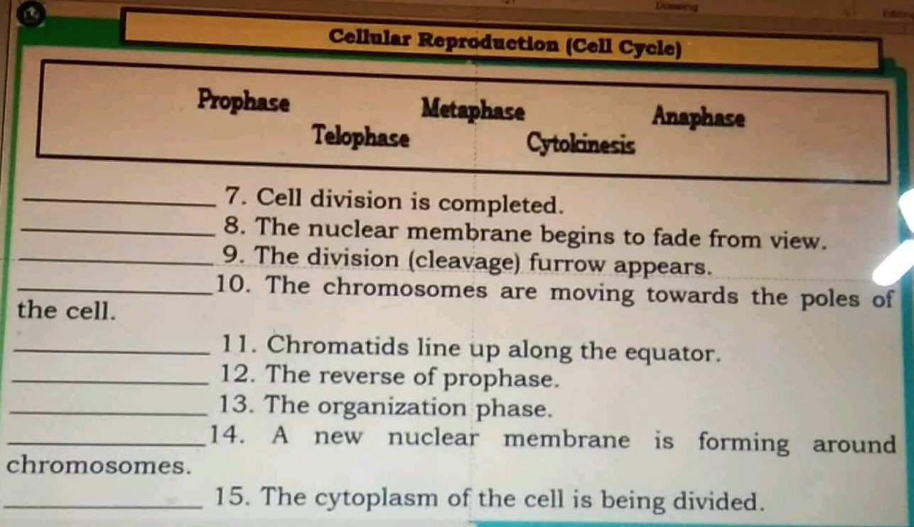 Collular Reproduction (Cell Cycle) Prophase | StudyX