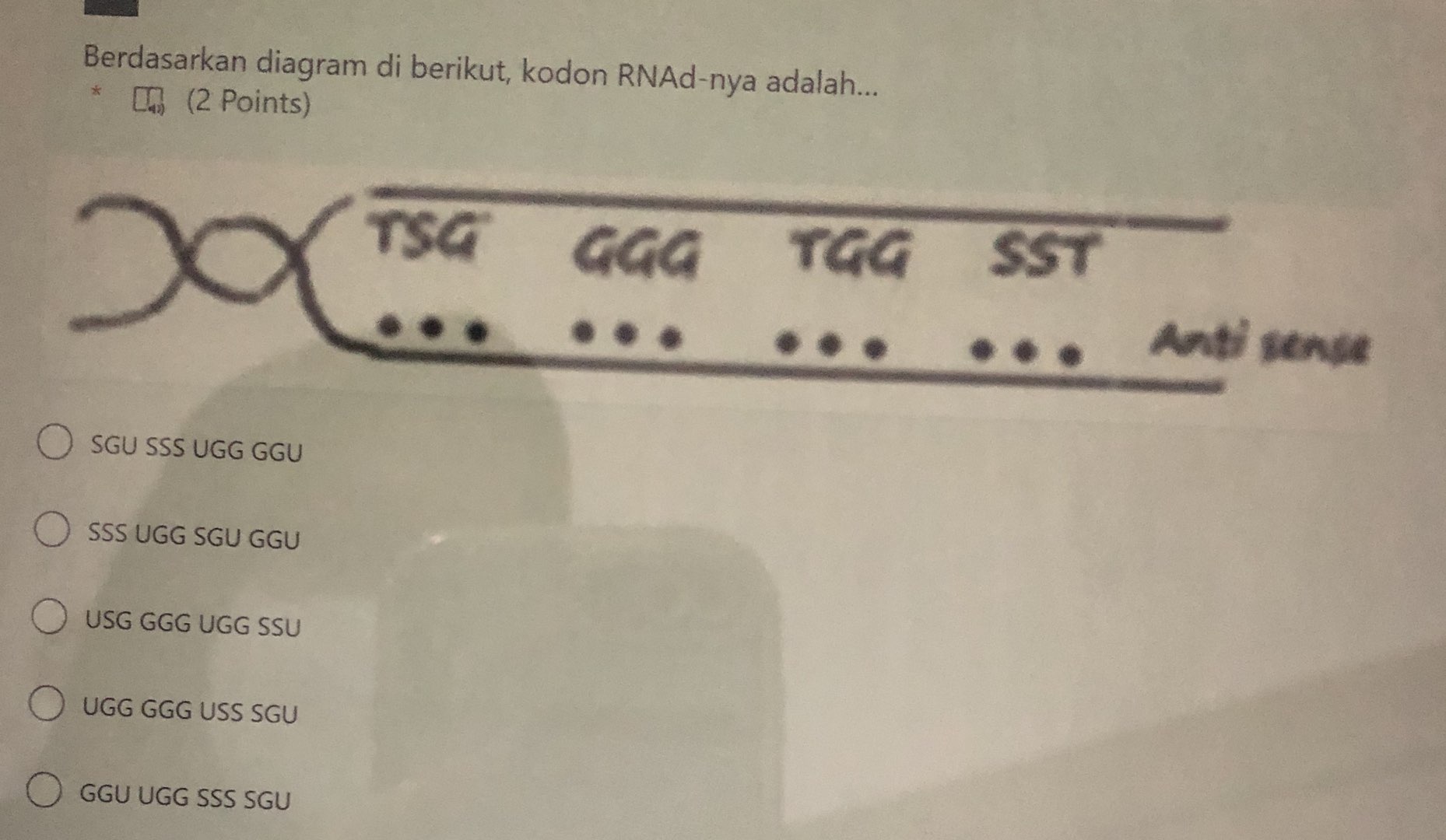 Berdasarkan diagram di berikut kodon | StudyX
