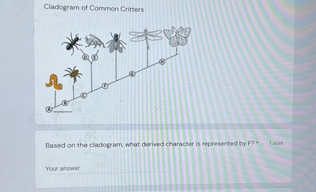 Cladogram of Common Critters Based on the | StudyX