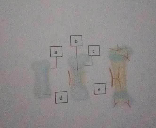 The image contains a diagram showing | StudyX