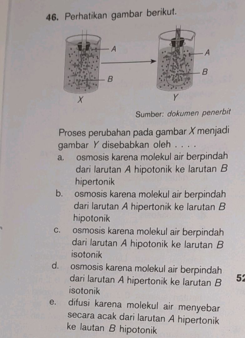 46 Perhatikan gambar berikut Gambar | StudyX
