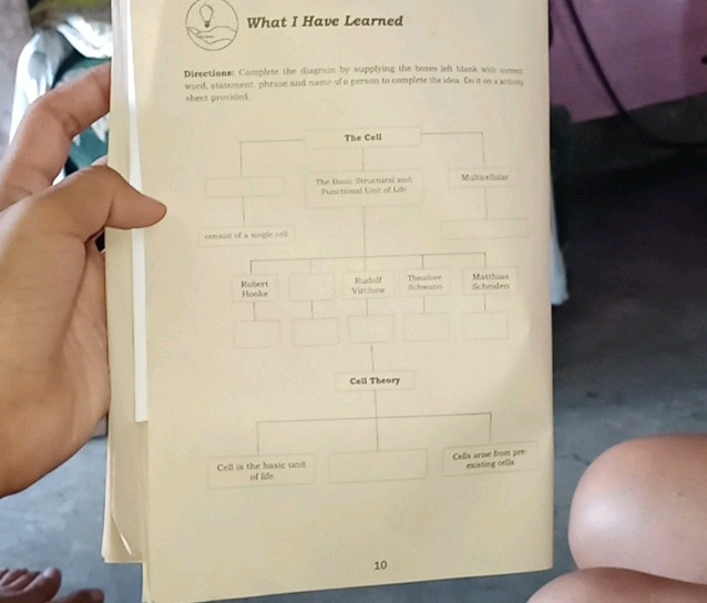 Directions Complete the diagram by supplying | StudyX