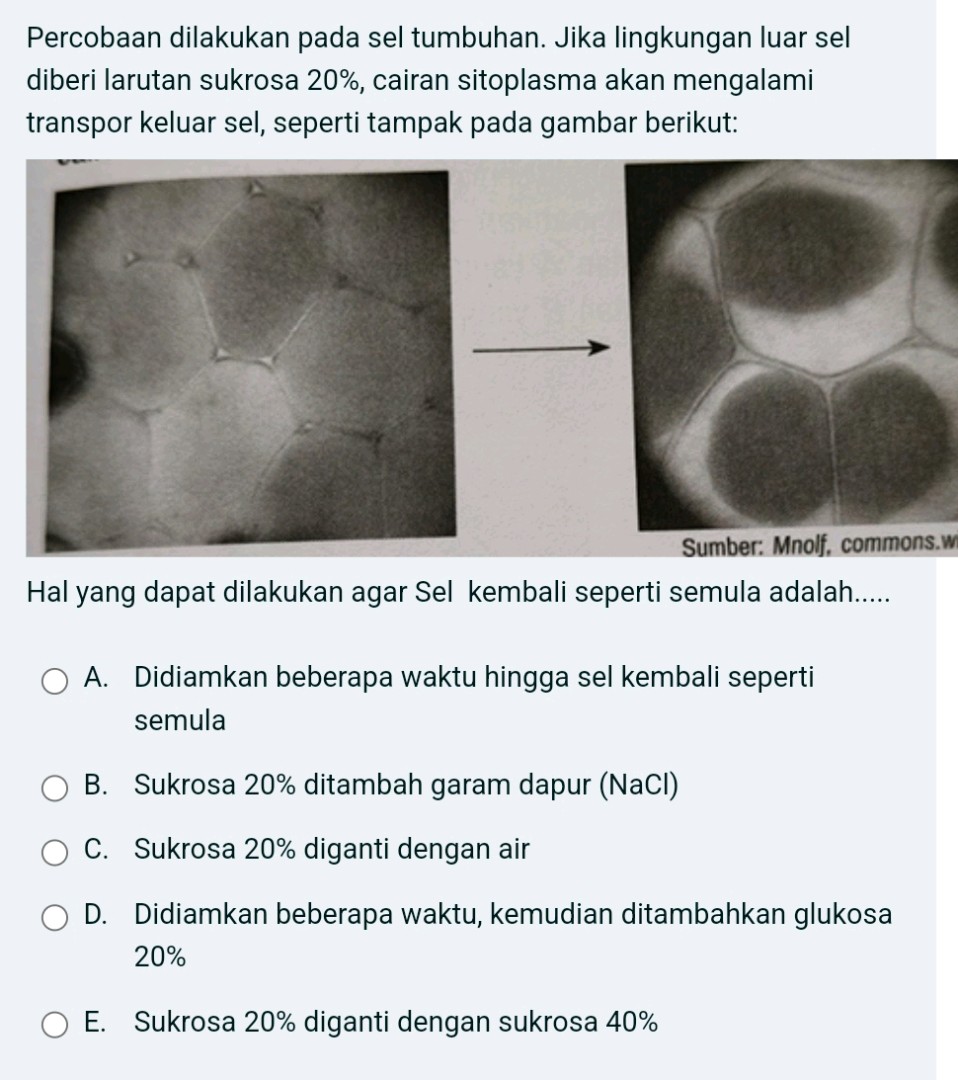 Percobaan dilakukan pada sel tumbuhan Jika | StudyX