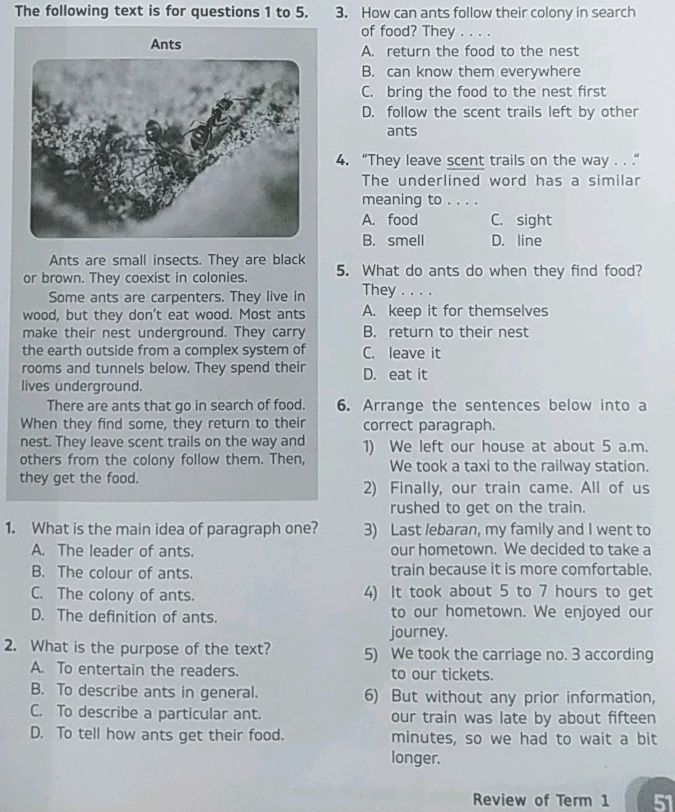 The following text is for questions 1 to 5 | StudyX