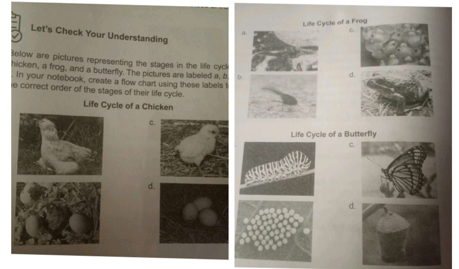Lets Check Your Understanding Below are | StudyX