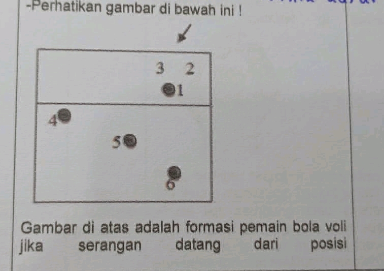 Perhatikan gambar di bawah ini Gambar di | StudyX