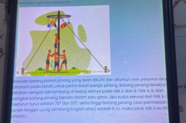 Sebuah batang pohon pinang yang telah | StudyX