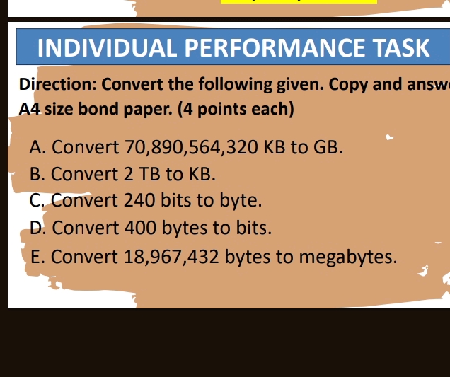 INDIVIDUAL PERFORMANCE TASK Direction | StudyX