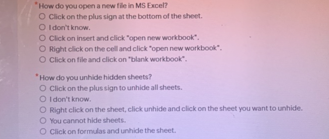 How do you open a new file in MS Excel Click | StudyX