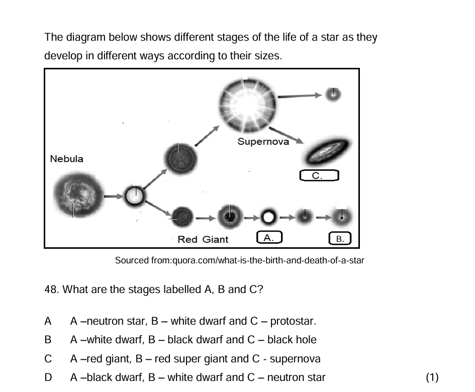 The diagram below shows different stages of | StudyX