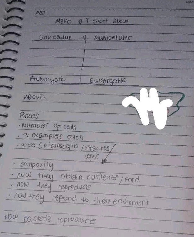 BAE Ass Make a T-chart about Unicellular V | StudyX