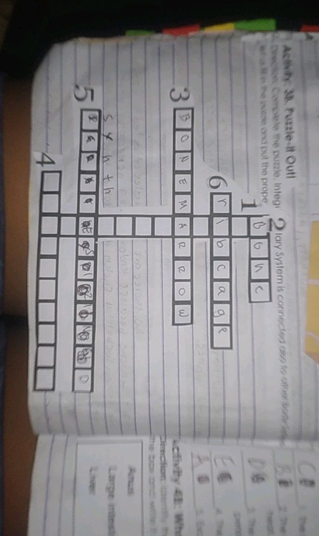 Activity 38 Puzzle-It OutDirection Complete | StudyX