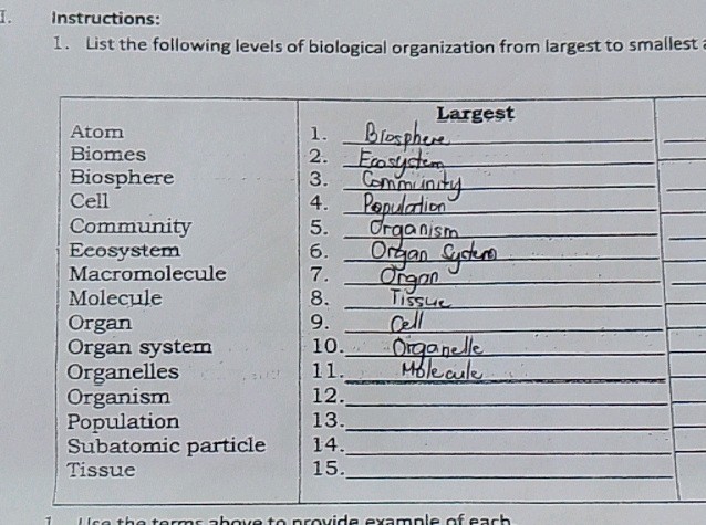 1Instructions1 List the following levels of | StudyX