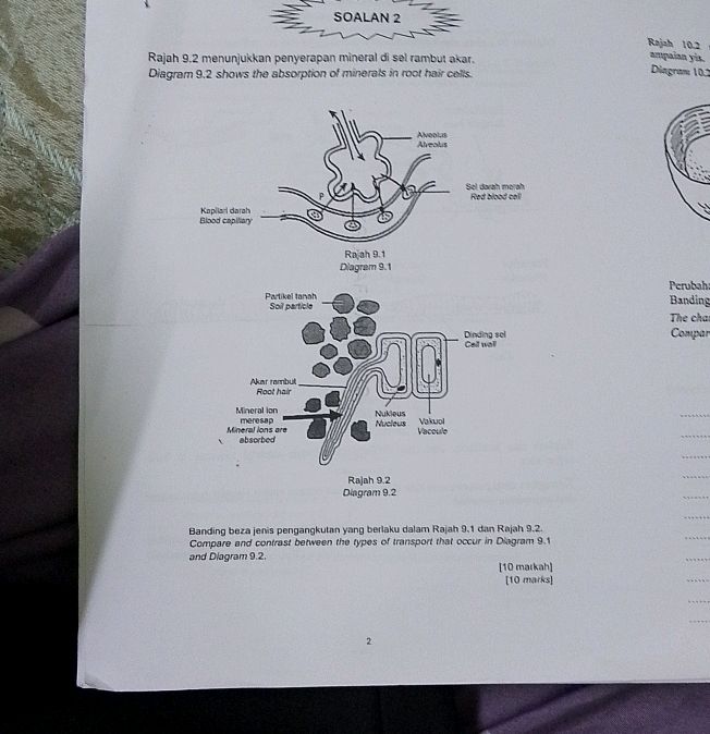 Diagram 92 shows the absorption of minerals | StudyX